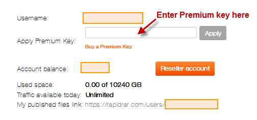 How to activate Rapidrar Premium Key? - PremiumKeyStore.Com
